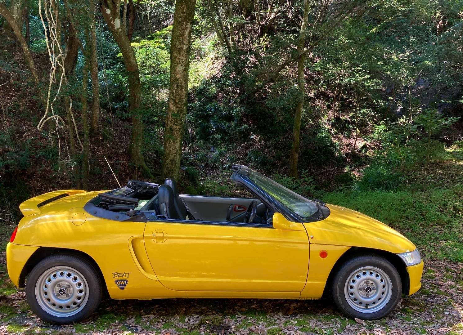 山道重点に走って来ました: OTA満腹ワークス